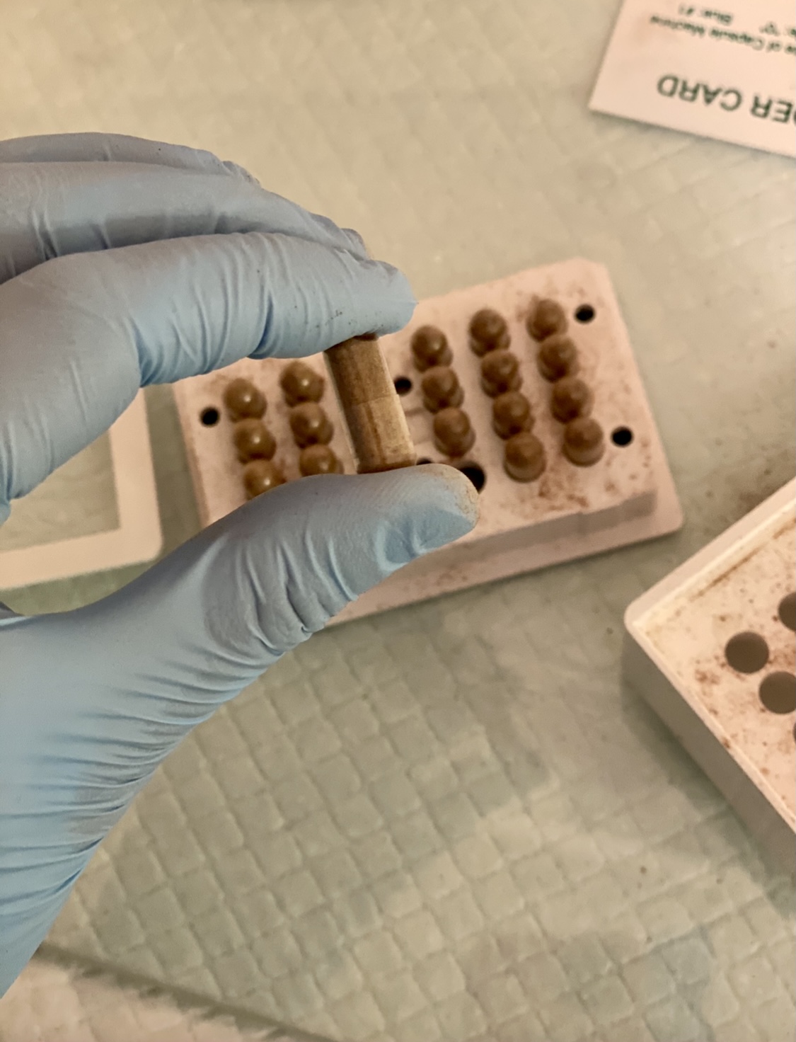 Midwest Doulas - What's the Deal with Placenta Encapsulation?